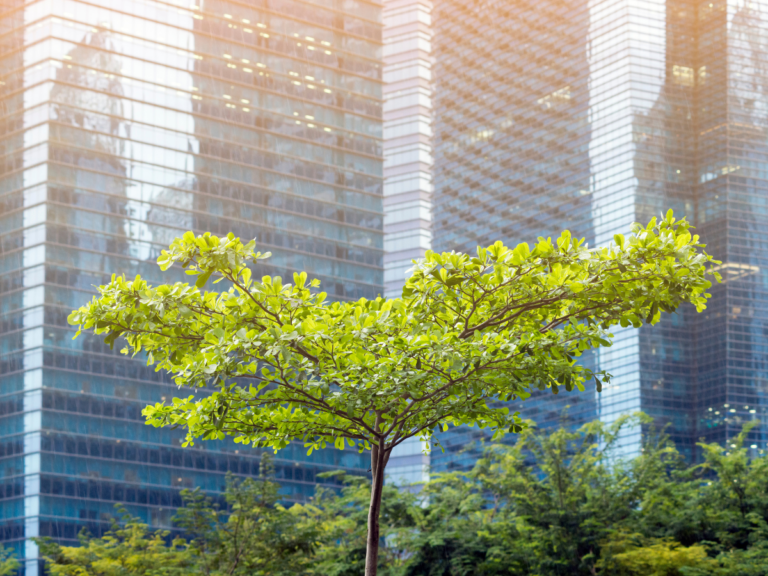 UAE Compliance Advisory & Support - ACA Group