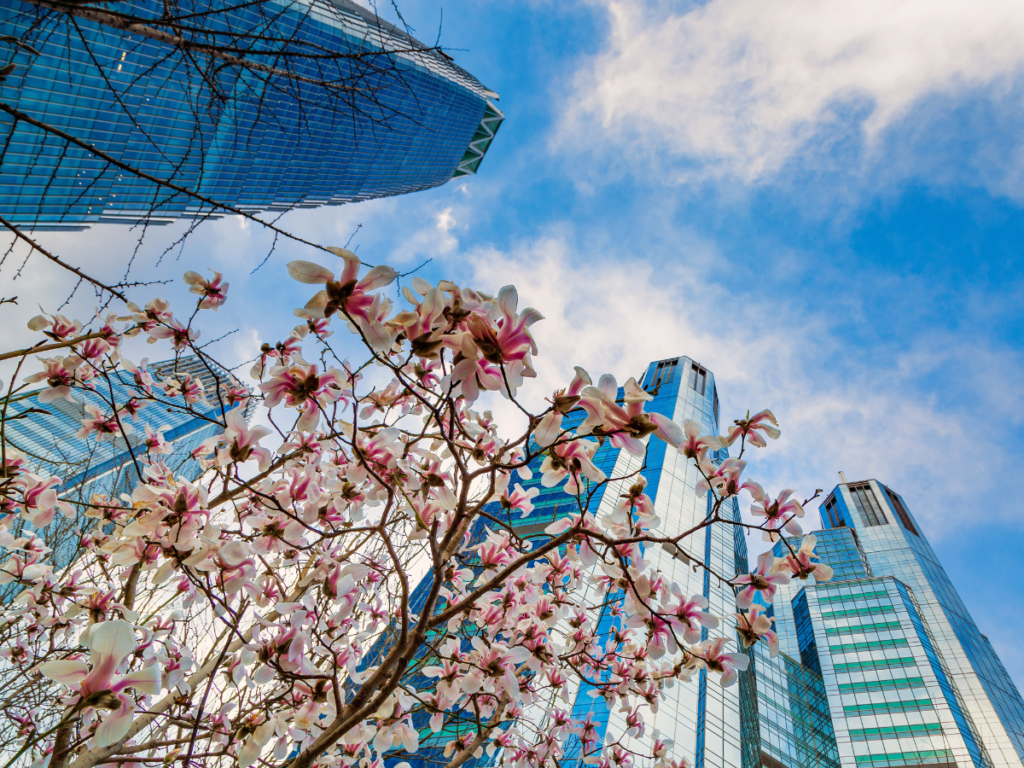 U.S. Regulatory Update – March 2023 Edition - ACA Group